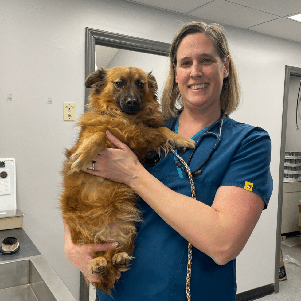 Meet Our Staff - Wilson Veterinary Hospital